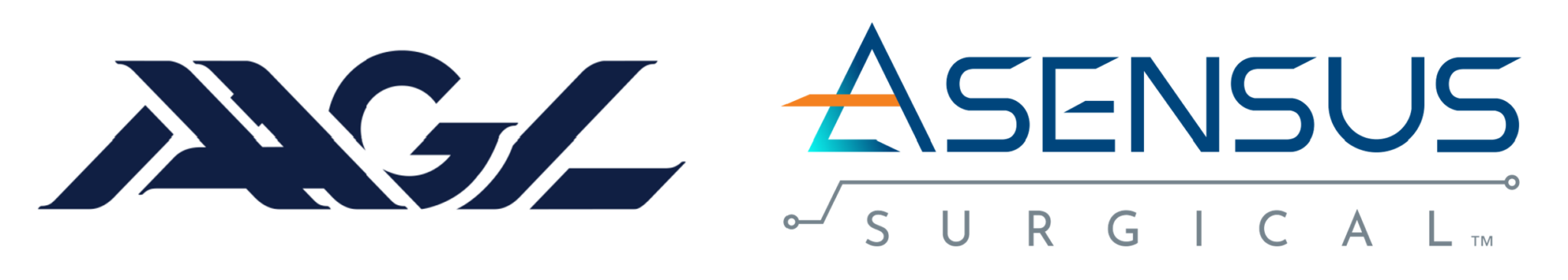 AAGL/Asensus Surgical™ Webinar: Robotics from the Eye of the Beholder ...