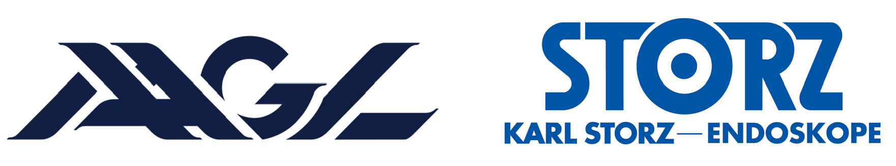 AAGL/KARL STORZ Webinar: Evolution of Hysteroscopy: Is it Time to ...