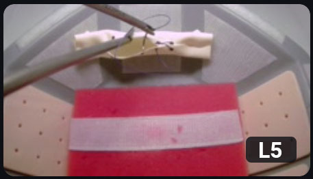 EMIGS Didactics | AAGL